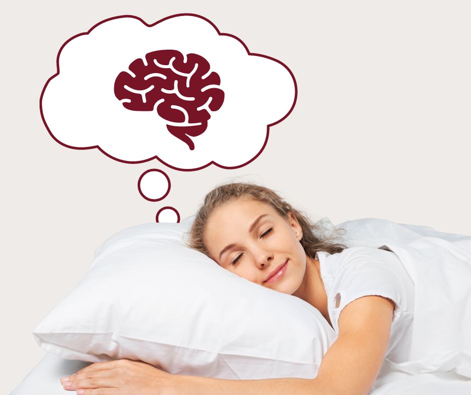 How Quality Sleep Works as the Brain’s Nightly Recharge – NeuroReserve Inc.